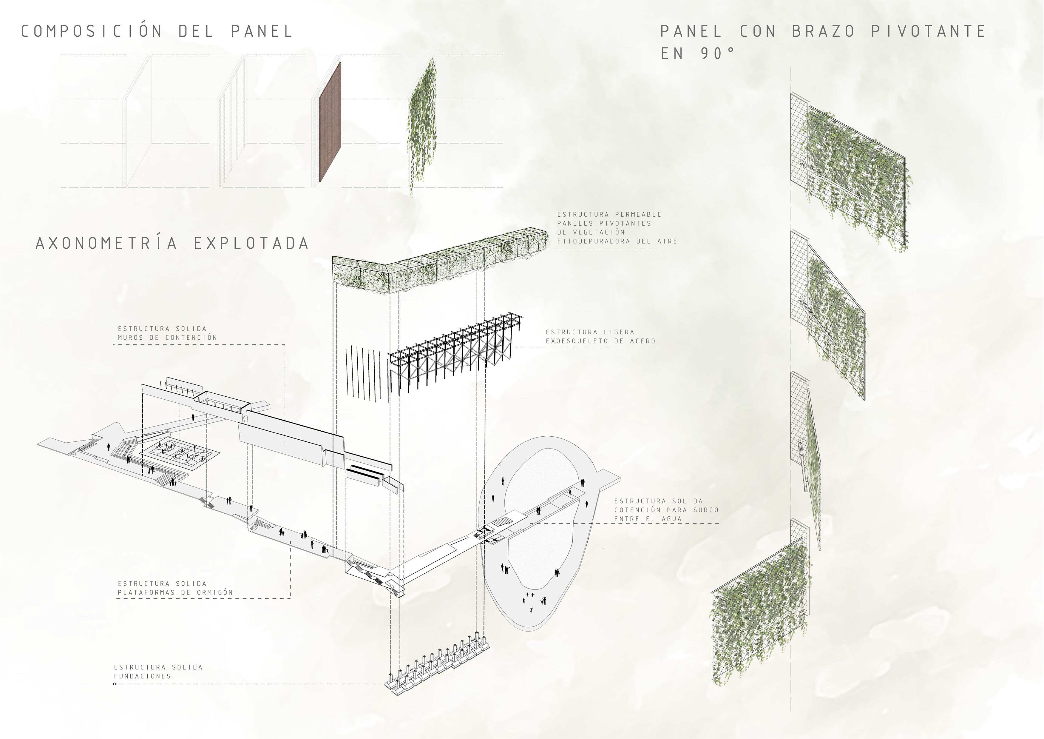Carolina Carvajal Ogaz